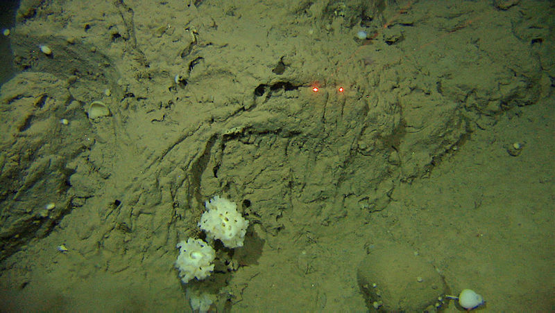 HI-017694.jpg | | FotoWeb 8.0